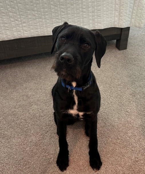 ZZZ – Meet Our Team – unused - Succession Financial